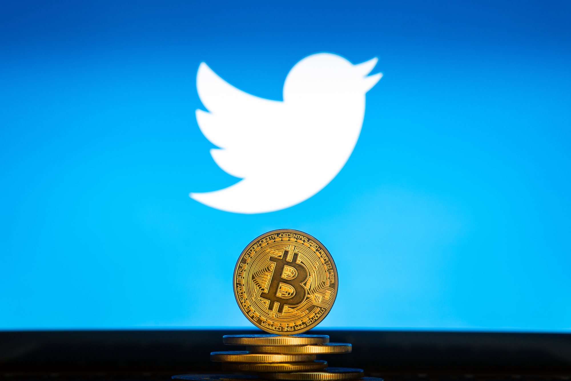 Twitter Coin: Bringt Elon Musk jetzt seine eigene Kryptowährung?
