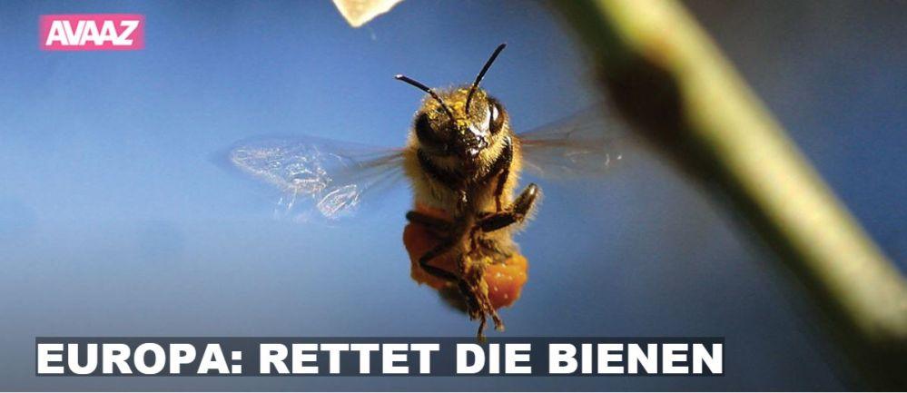 Avaaz - das Kampagnen-Netzwerk im Interview (Repost)