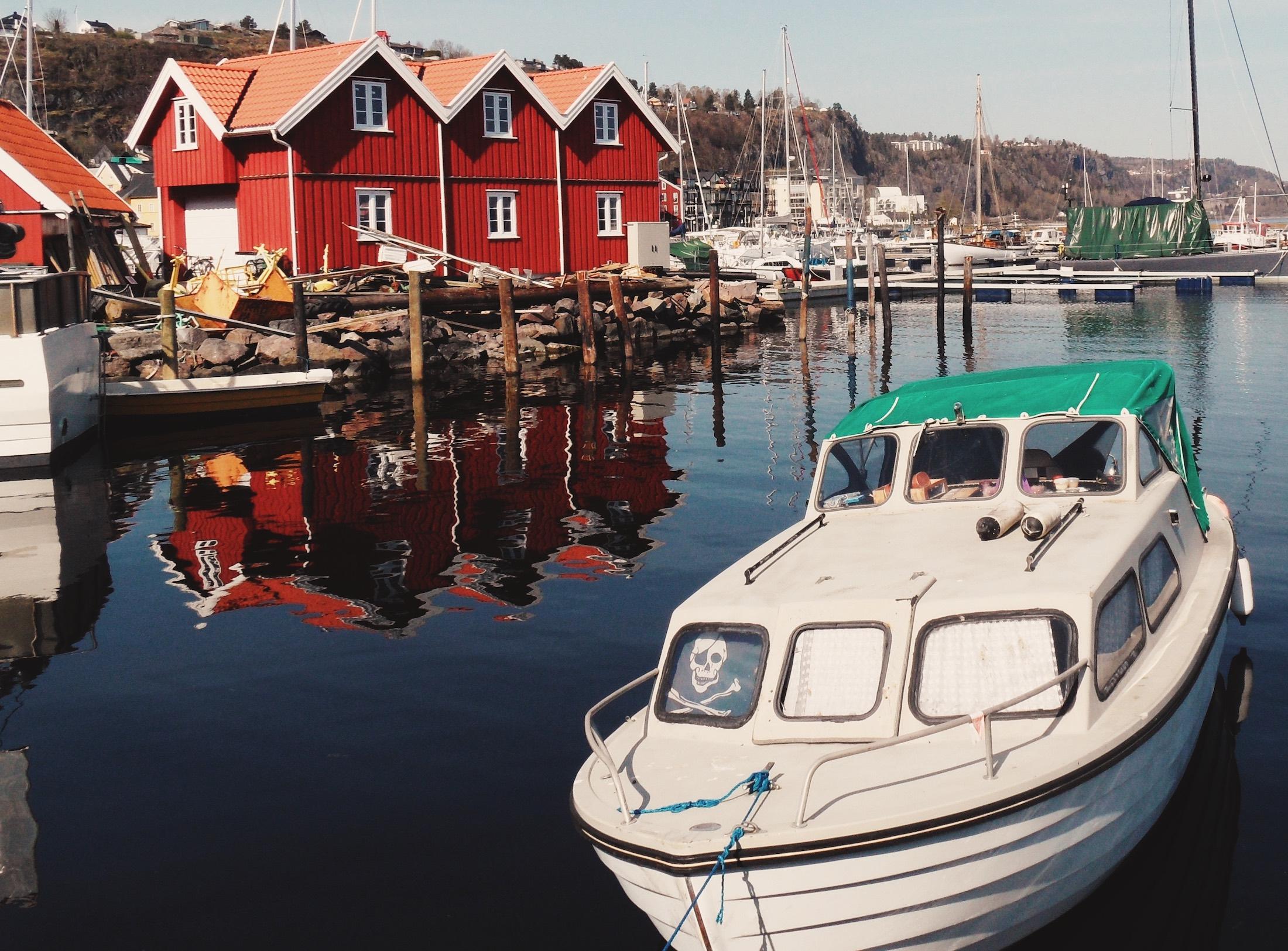 Pirate Library Mirror spiegelt Z-Library mit über 24 TB an Daten!